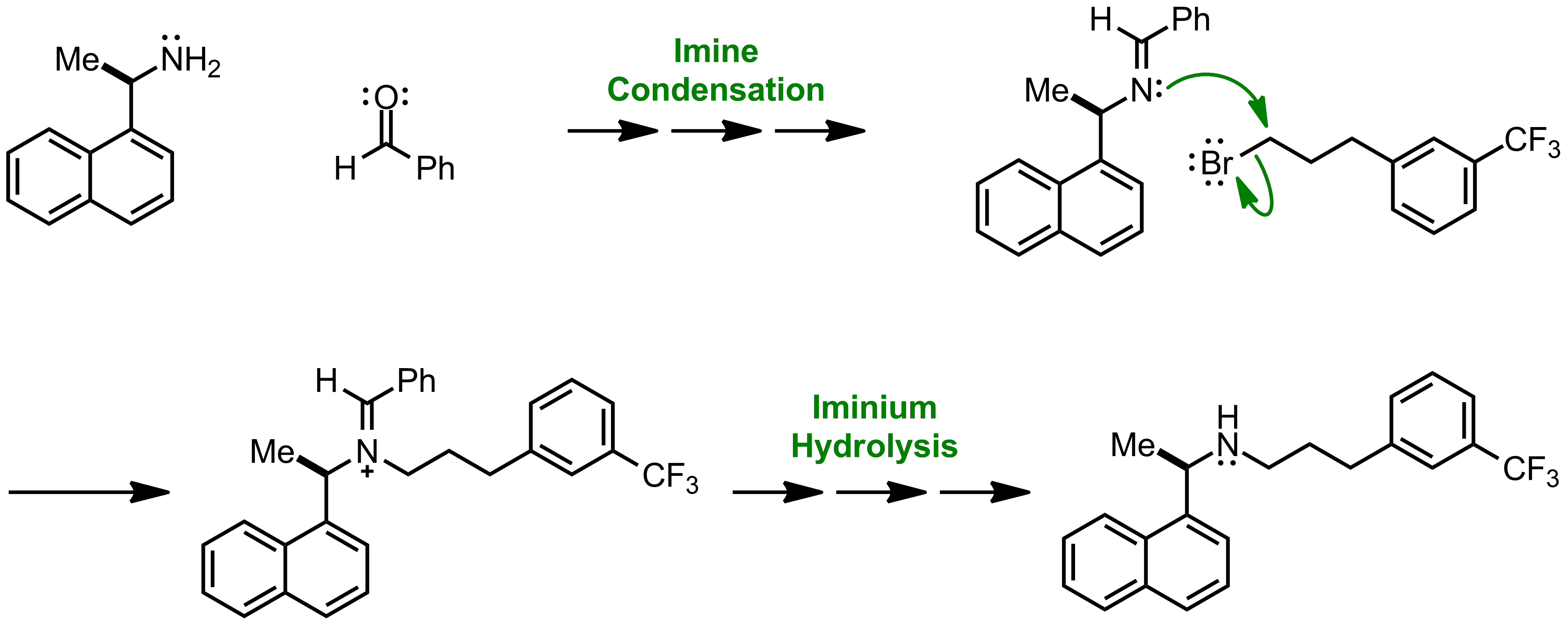Forster-Decker Amine Synthesis