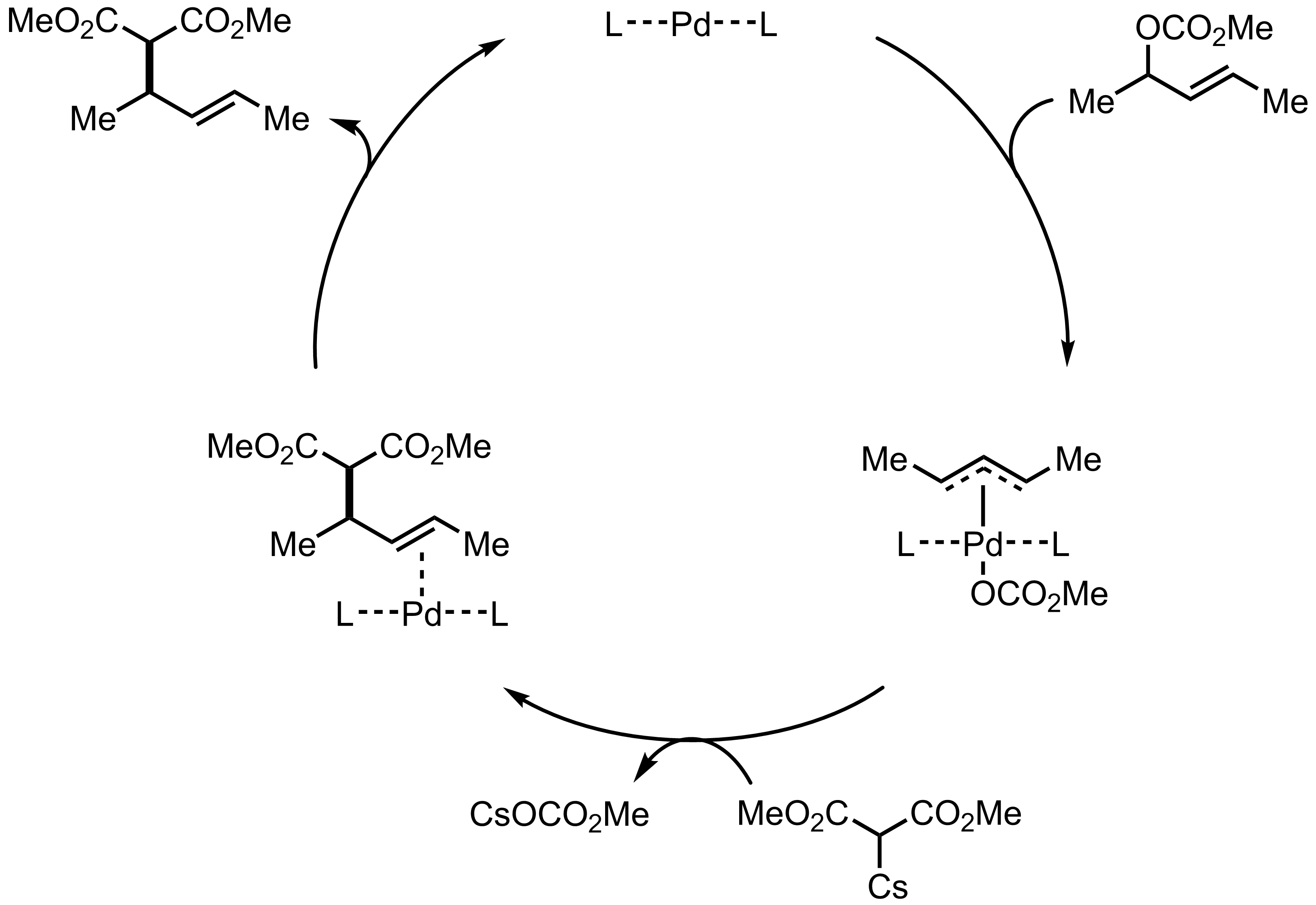 Trost Asymmetic Allylation Alkylation