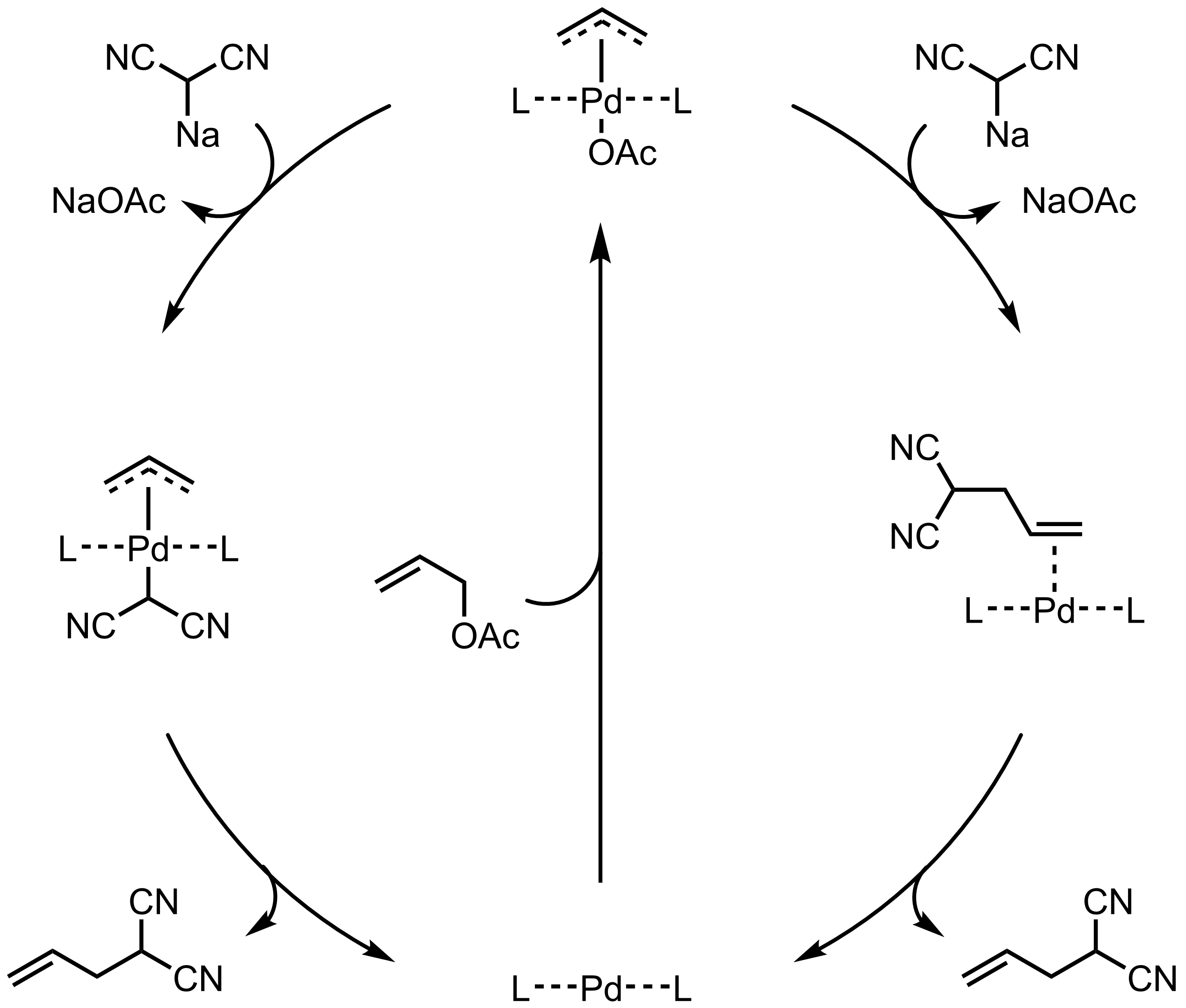 Tsuji-Trost Reaction